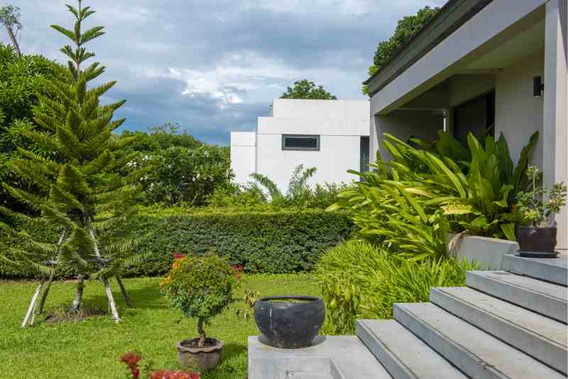 Small Space Landscaping: A Guide to Maximizing Your Space